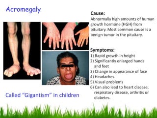 Homeostasis and disorders | PPTX