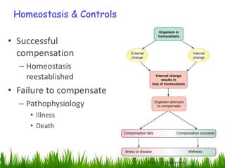 Homeostasis and disorders | PPTX