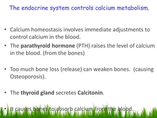 Homeostasis and disorders | PPTX
