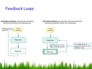 Homeostasis and disorders | PPTX