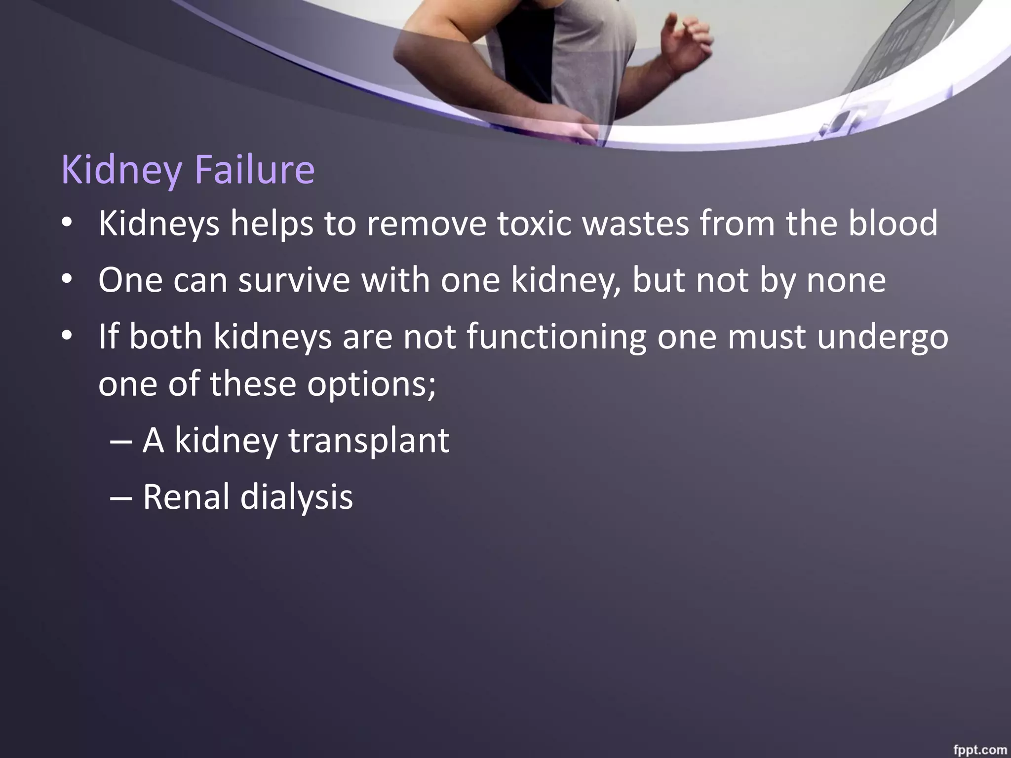 Edexcel IGCSE - Human Biology - Chapter 08 - Homeostasis and Excretion ...