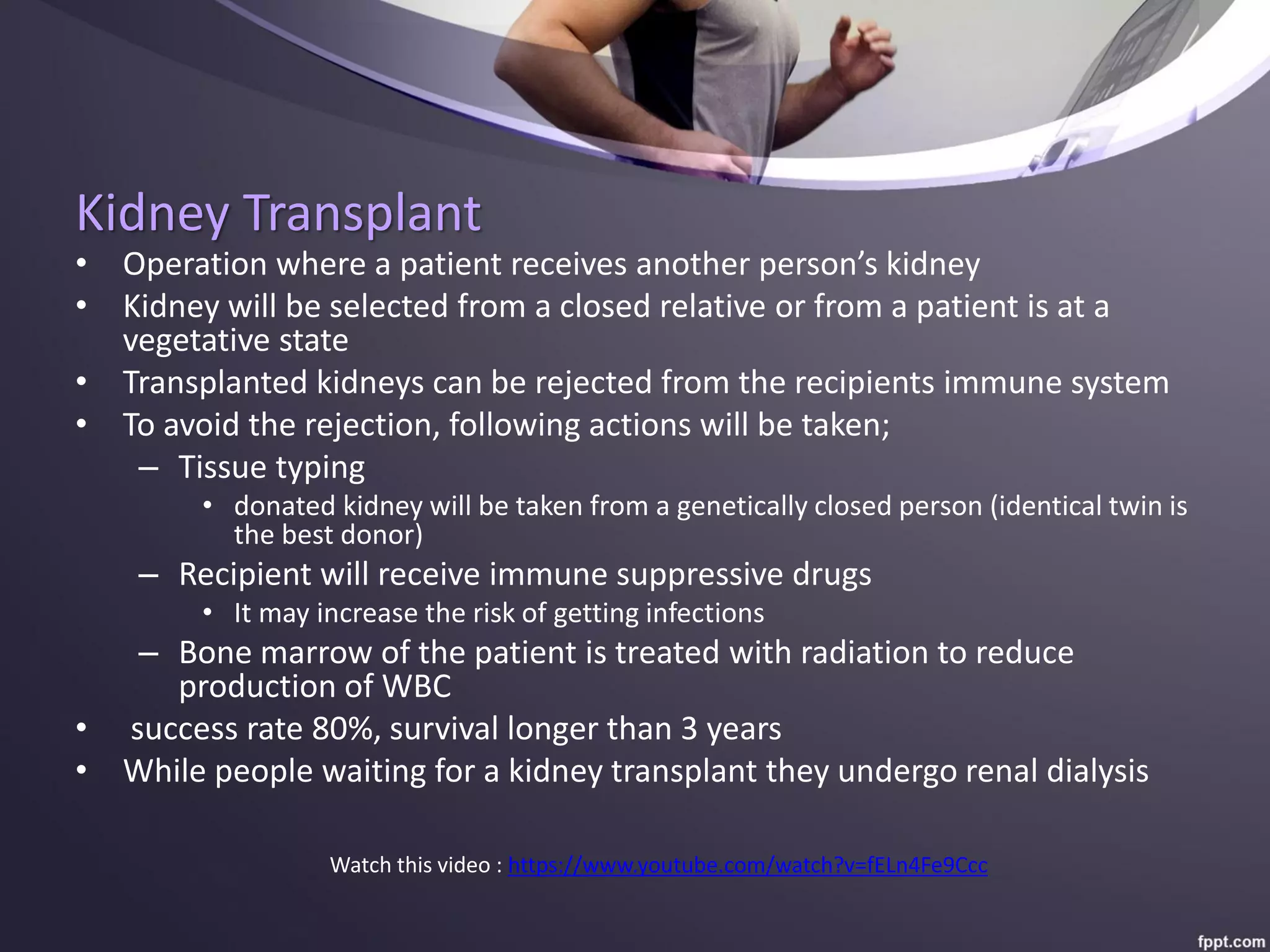 Edexcel IGCSE - Human Biology - Chapter 08 - Homeostasis and Excretion ...