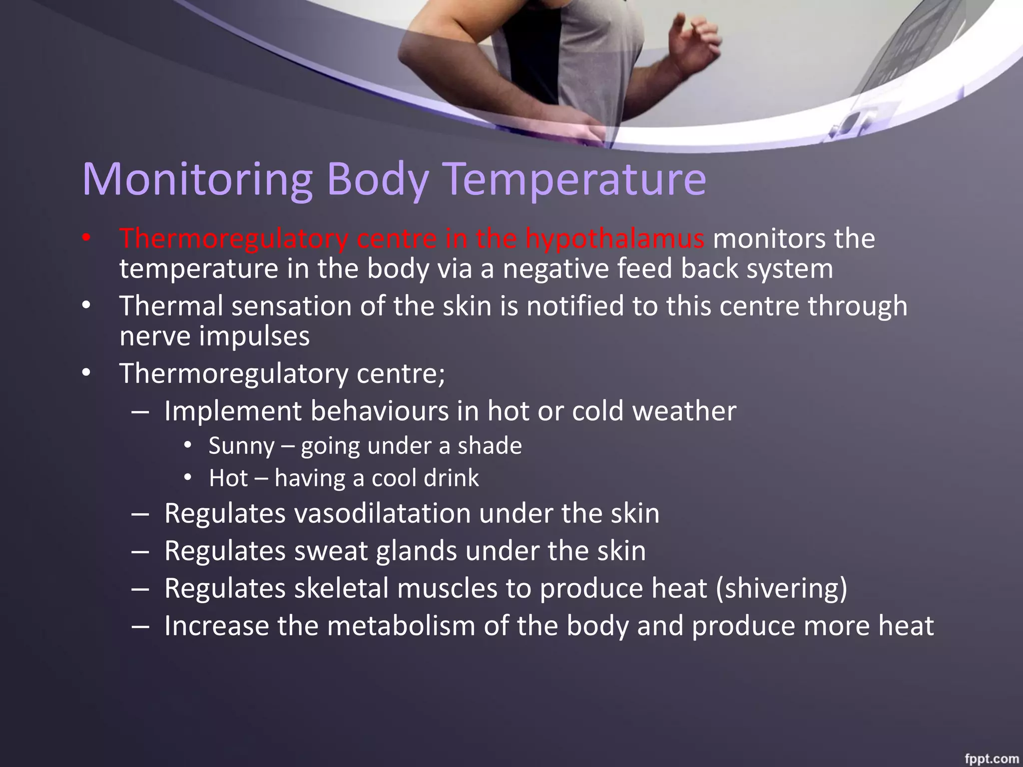 Edexcel IGCSE - Human Biology - Chapter 08 - Homeostasis and Excretion ...
