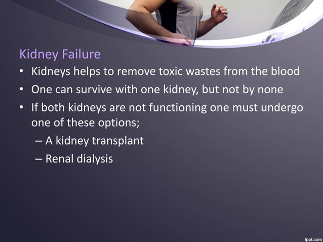 Edexcel IGCSE - Human Biology - Chapter 08 - Homeostasis and Excretion ...
