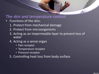 Edexcel IGCSE - Human Biology - Chapter 08 - Homeostasis and Excretion ...