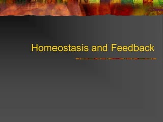 Homeostasis_and_Feedback.ppt concept of homeostasis in organisms | PPT