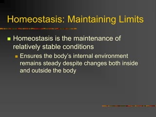 Homeostasis_and_Feedback.ppt concept of homeostasis in organisms | PPT