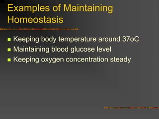 Homeostasis_and_Feedback.ppt concept of homeostasis in organisms | PPT