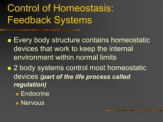 Homeostasis_and_Feedback.ppt concept of homeostasis in organisms | PPT