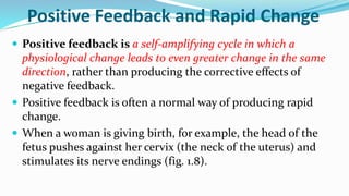 Homeostasis and Feedback, Elshennawy, 1444-2023.pptx