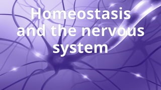 Homeostasis and the Nervous Systems.pptx