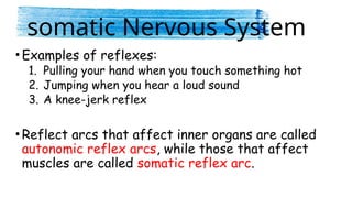 Homeostasis and the Nervous Systems.pptx