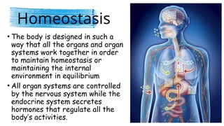 Homeostasis and the Nervous Systems.pptx