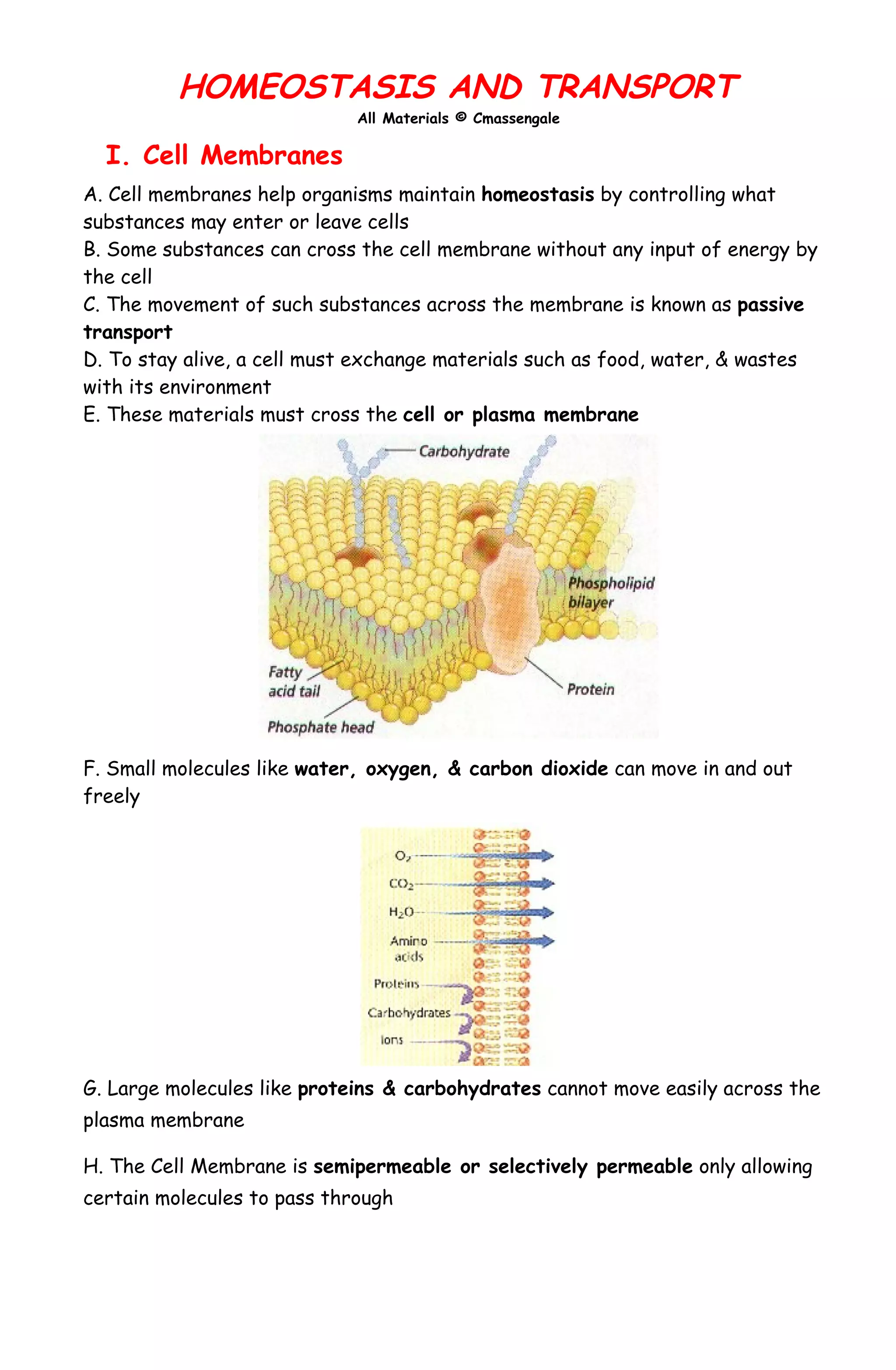Homeostasis and transport | RTF