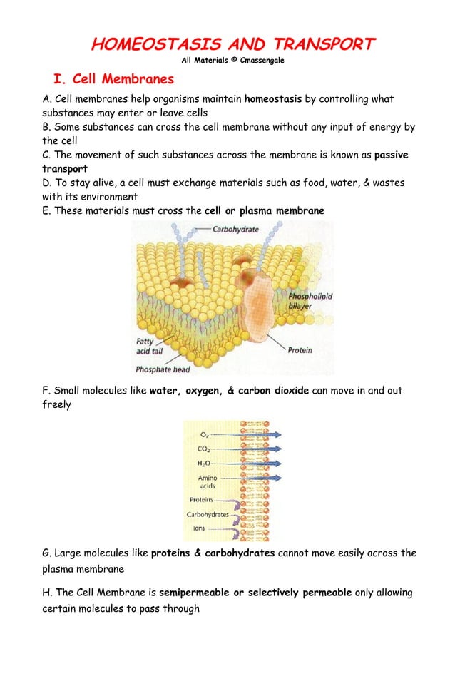 Homeostasis and transport | PDF