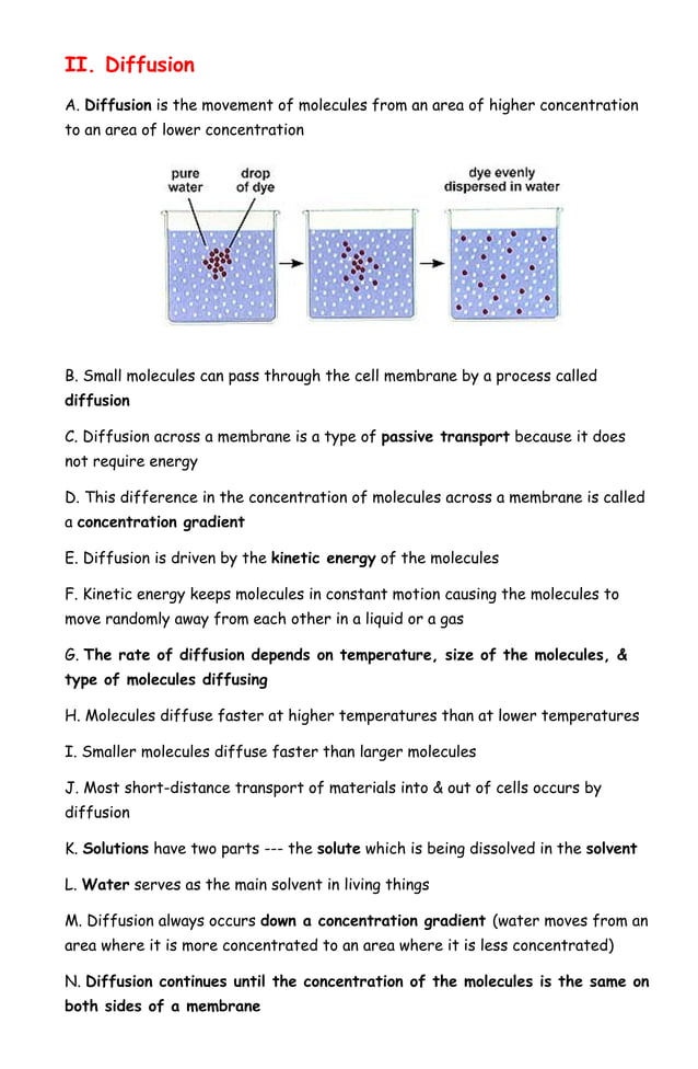 Homeostasis and transport | PDF