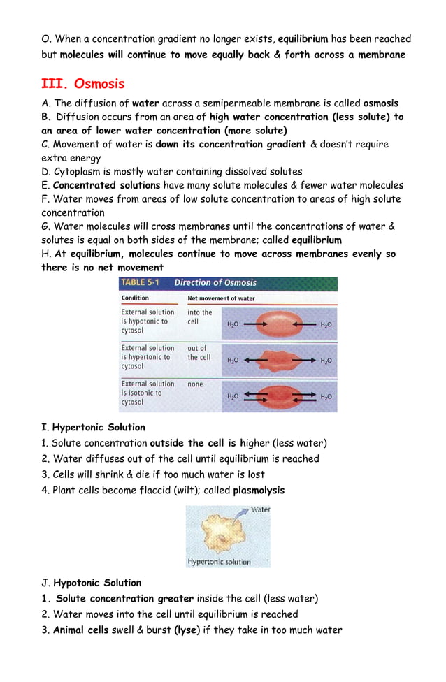 Homeostasis and transport | PDF