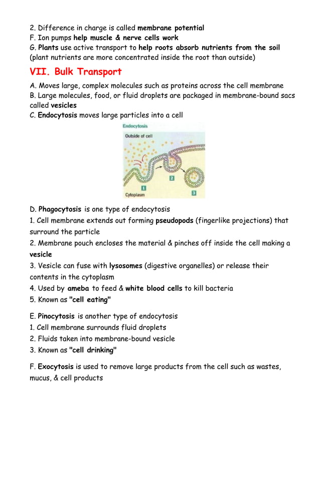 Homeostasis and transport | PDF