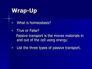Homeostasis and transport (part 1) | PPT