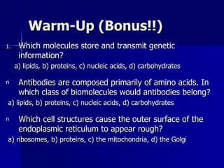 Homeostasis and transport (part 1) | PPT
