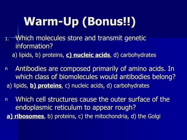 Homeostasis and transport (part 1) | PPT