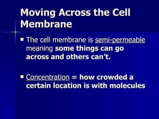 Homeostasis and transport (part 1) | PPT