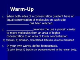 Homeostasis and transport (part 2) | PPT