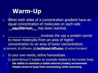 Homeostasis and transport (part 2) | PPT