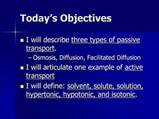 Homeostasis and transport (part 2) | PPT