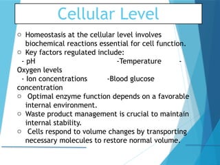 homeostasis physiology presentation.pptx