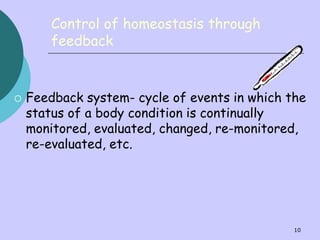 homeostasis bio chem.pptx.................. | PPT