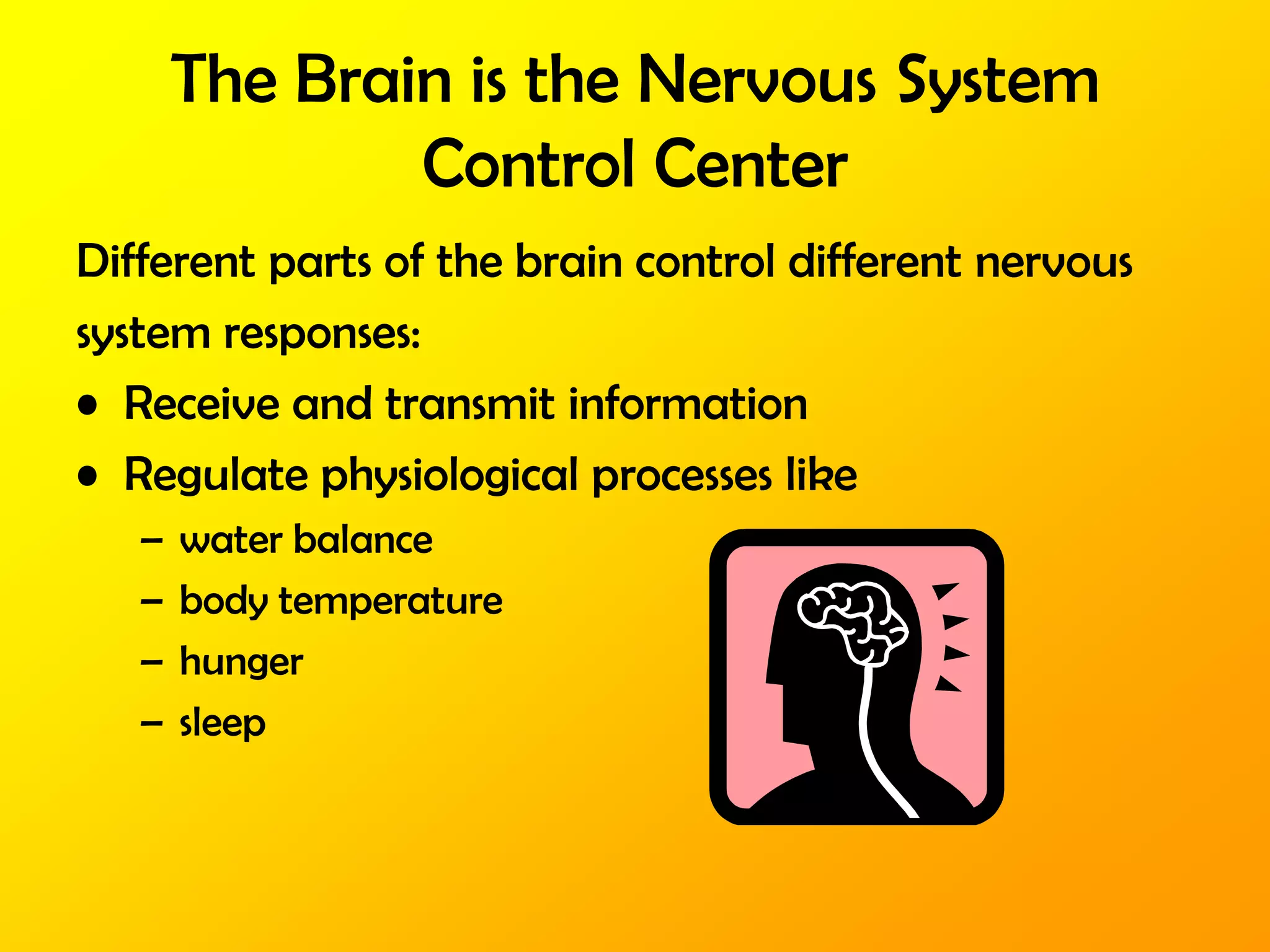 Homeostasis Body Sys 09 | PPTX