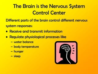 Homeostasis Body Sys 09 | PPTX