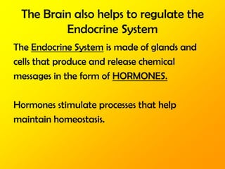 Homeostasis Body Sys 09 | PPTX