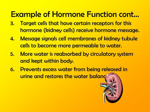 Homeostasis Body Sys 09 | PPTX
