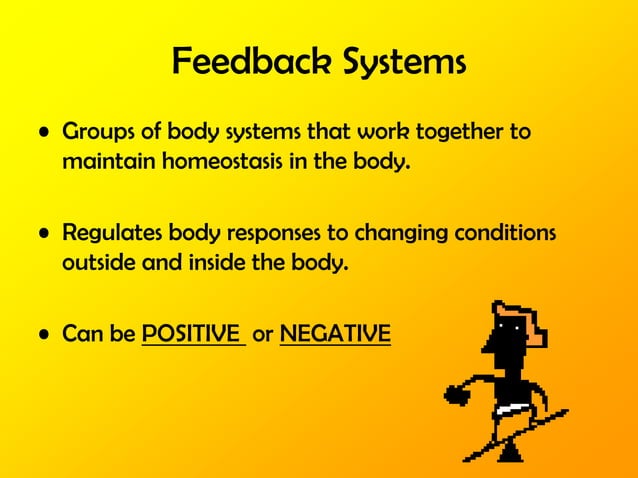 Homeostasis Body Sys 09 | PPTX