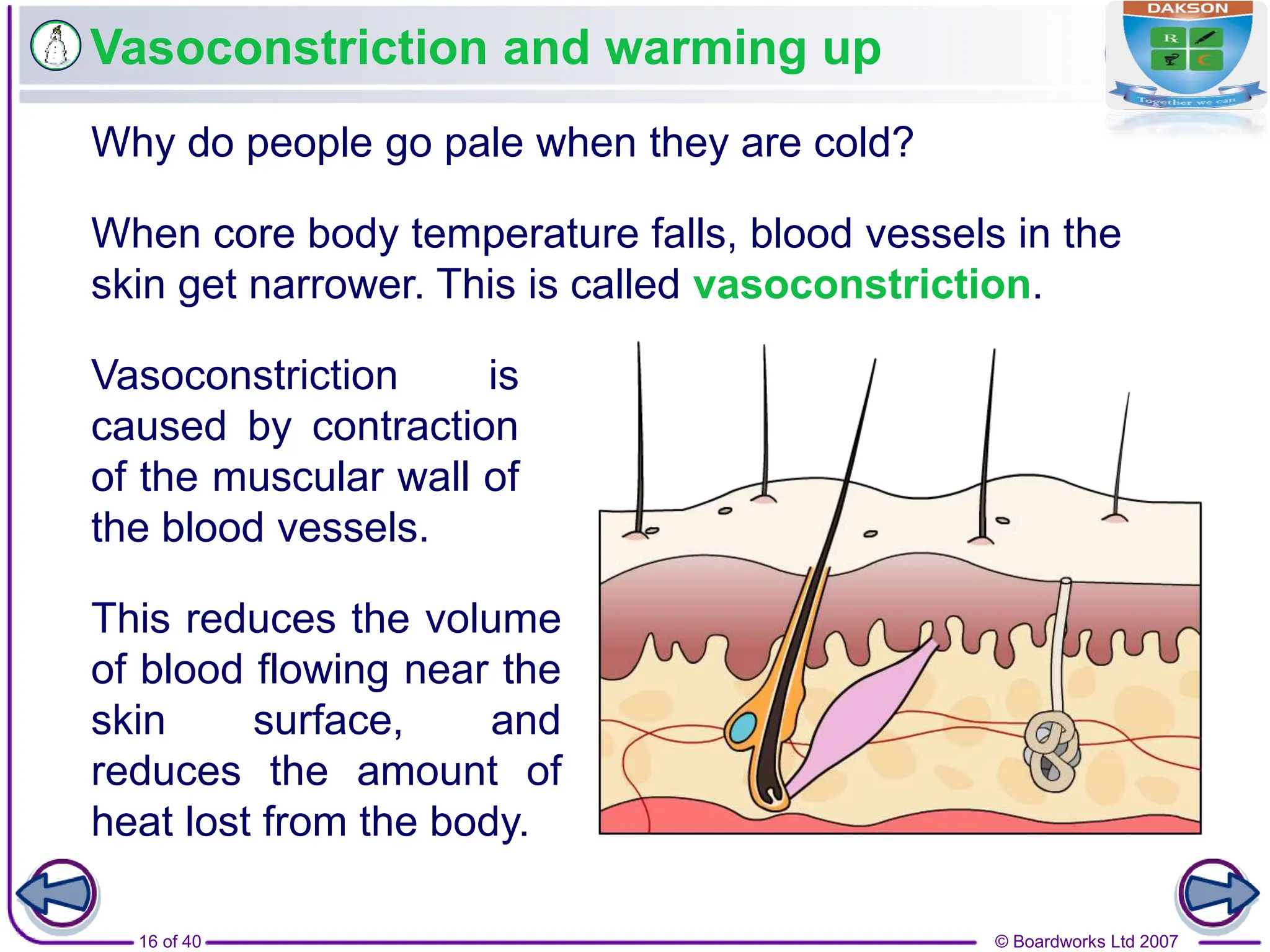 Homeostasis, Physiology Lecture by Dr. Baqir Naqvi.pptx
