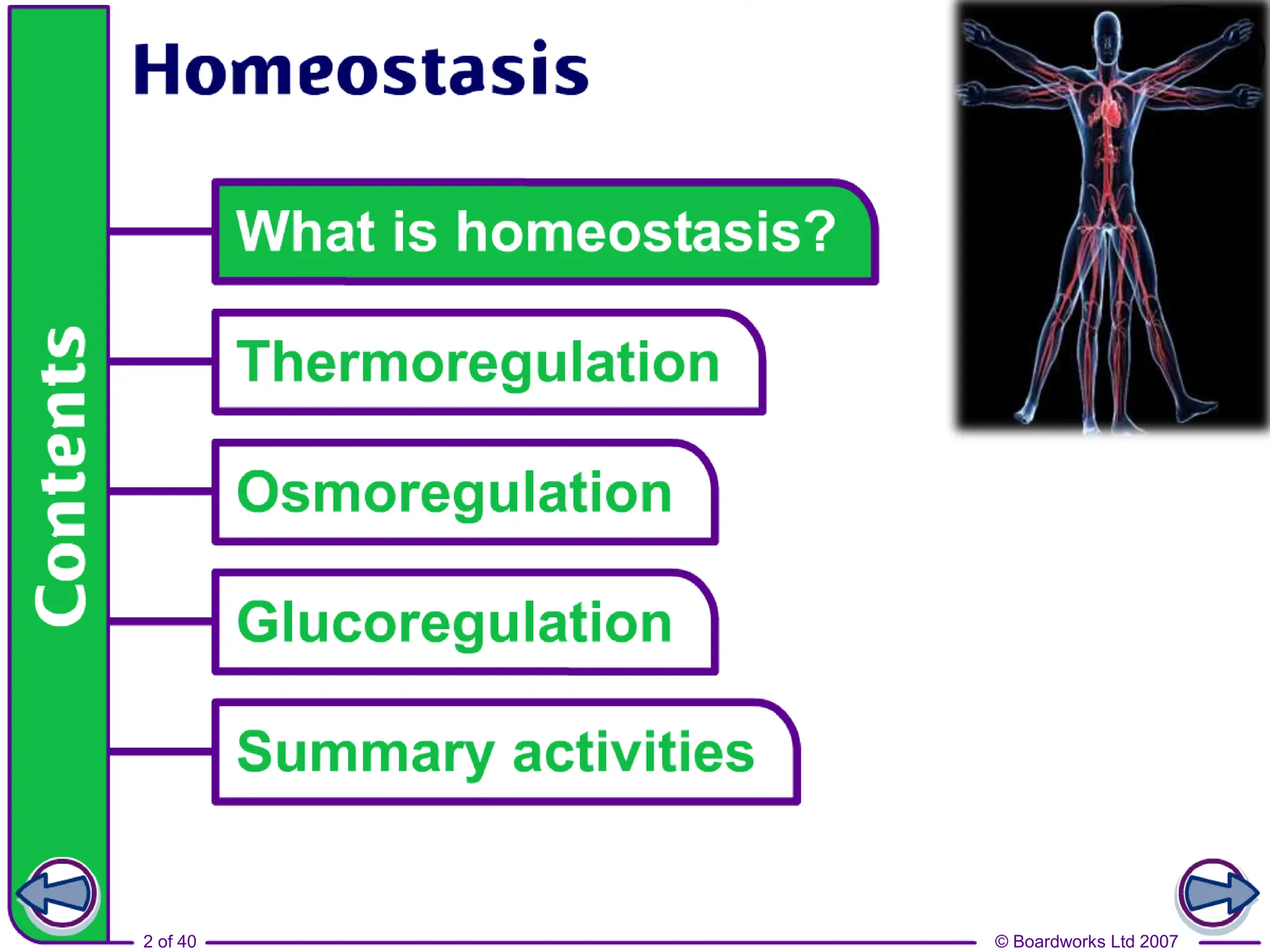 Homeostasis, Physiology Lecture by Dr. Baqir Naqvi.pptx