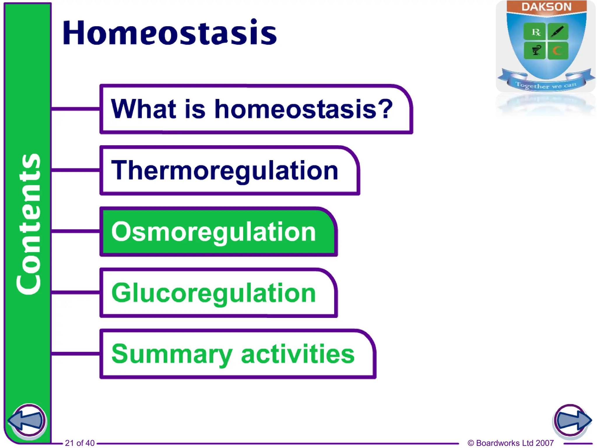 Homeostasis, Physiology Lecture by Dr. Baqir Naqvi.pptx