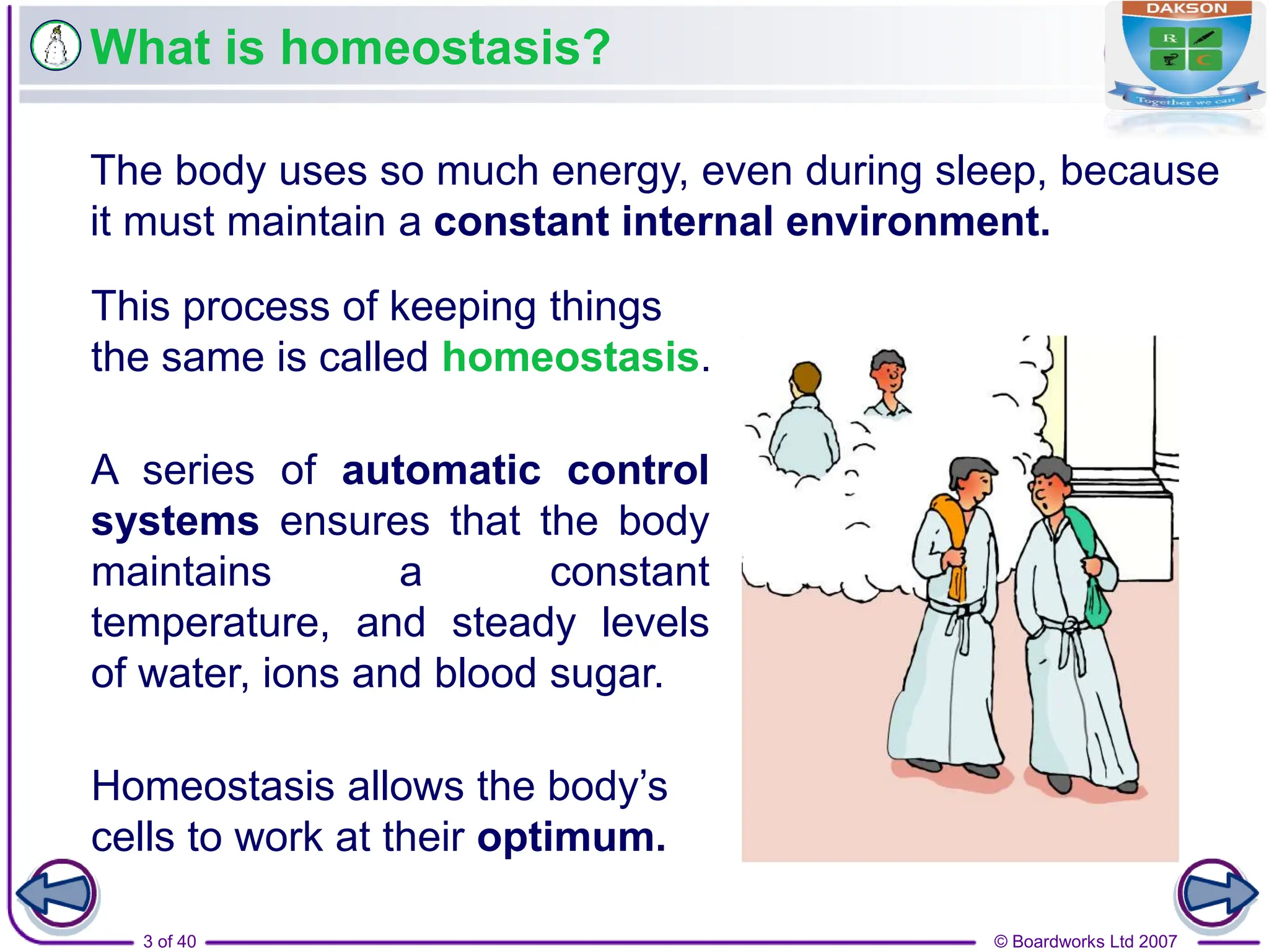 Homeostasis, Physiology Lecture by Dr. Baqir Naqvi.pptx