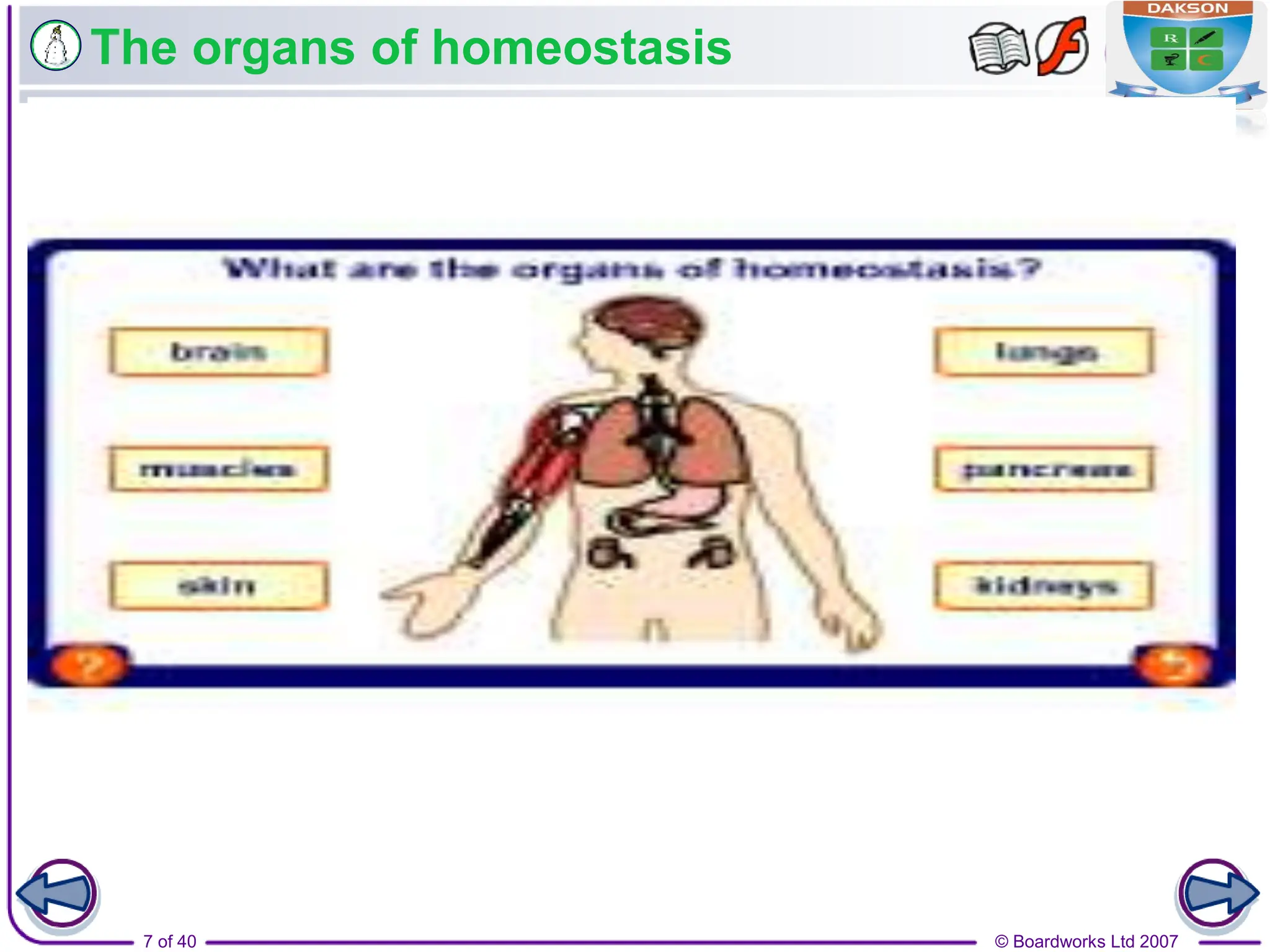 Homeostasis, Physiology Lecture by Dr. Baqir Naqvi.pptx