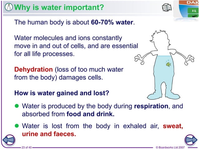 Homeostasis, Physiology Lecture by Dr. Baqir Naqvi.pptx