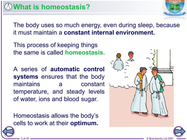Homeostasis, Physiology Lecture by Dr. Baqir Naqvi.pptx