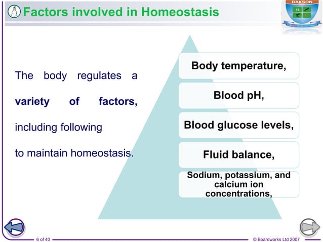 Homeostasis, Physiology Lecture by Dr. Baqir Naqvi.pptx