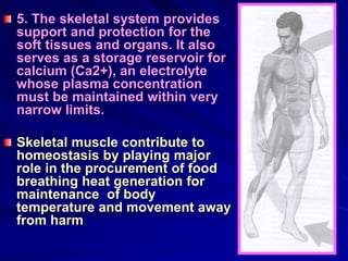 Homeostasis | PPSX