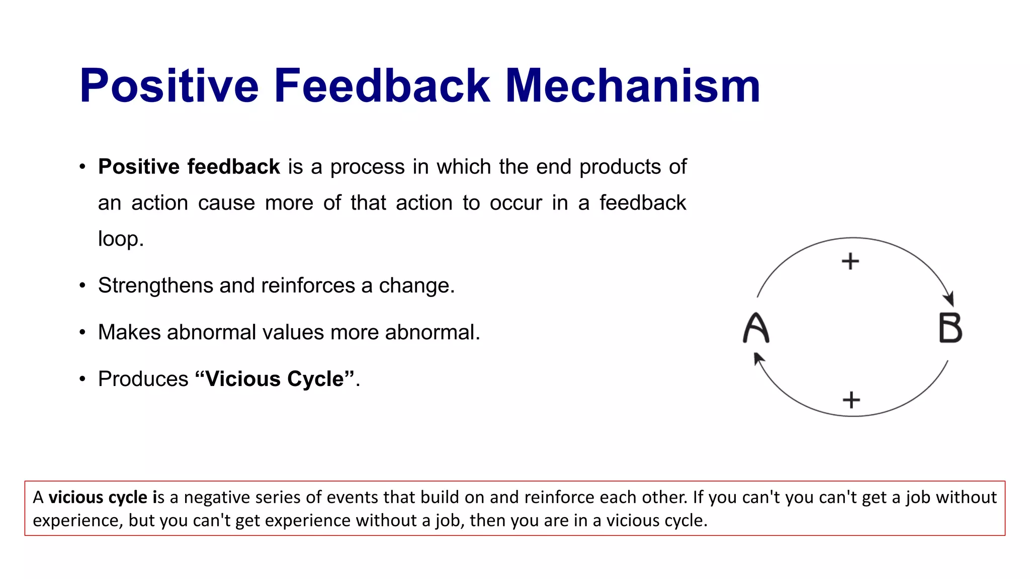 Homeostasis & Control Mechanisms of The Body | PPTX