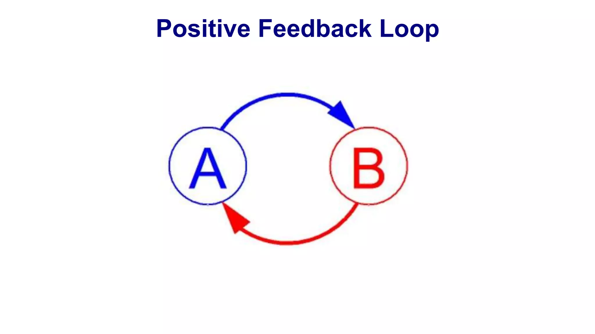 Homeostasis & Control Mechanisms of The Body | PPTX