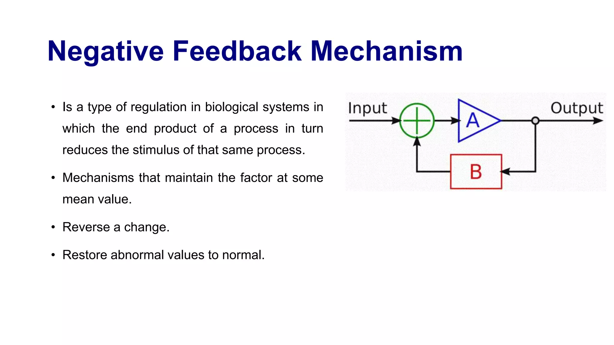 Homeostasis & Control Mechanisms of The Body | PPTX