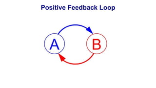 Homeostasis & Control Mechanisms of The Body | PPTX