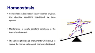 Homeostasis & Control Mechanisms of The Body | PPTX